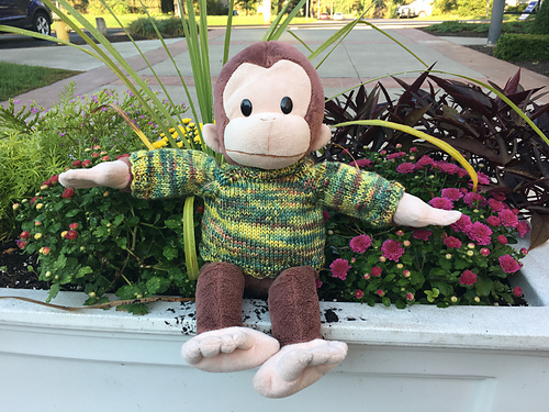 Ravelry: Monkster's Sweater pattern by Mary Ann Stephens