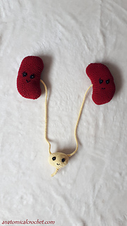 Ravelry: Kidneys pattern by L Hodgins