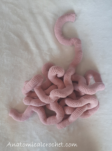 Ravelry: Small intestine pattern by L Hodgins