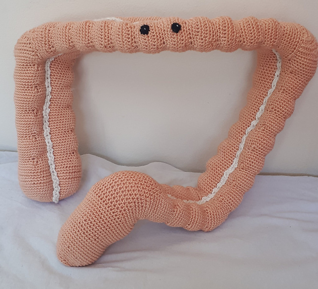 Ravelry: large intestine pattern by L Hodgins