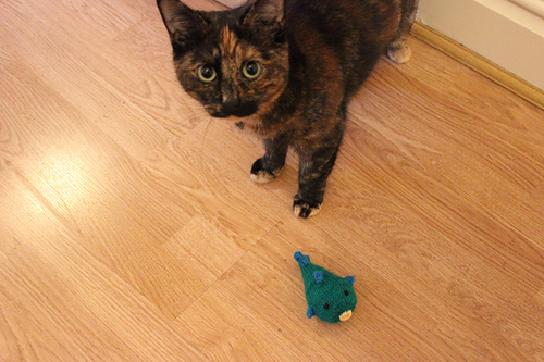 Ravelry: Jingle Fish - Cat Toy pattern by Dooley and Spud