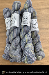 Ravelry: Spincycle Yarns Dyed in the Wool