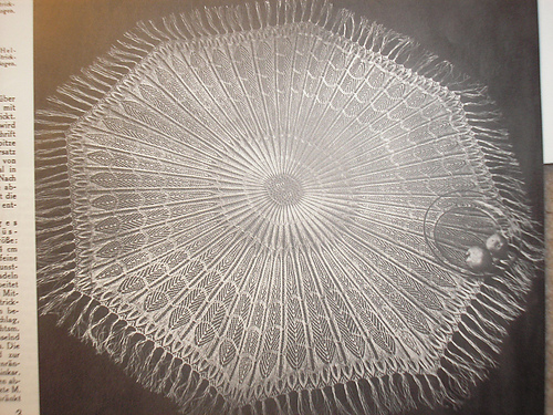 Ravelry: Helmut / Helga pattern by Verlag Otto Beyer Design Team