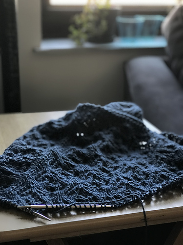 Ravelry: Fossil & Bone pattern by Sylvia McFadden