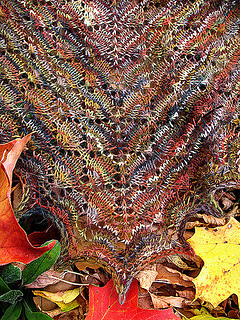 Ravelry: thegentleknitter's Forest canopy shawl
