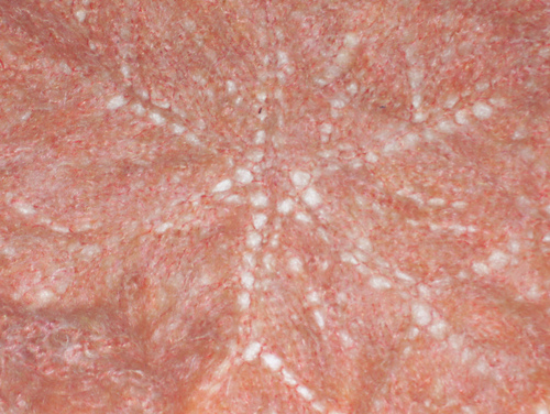 Ravelry: Sleeves In Your Pi pattern by Gayle Roehm