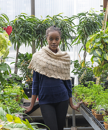 Ravelry: Sweet Woodruff pattern by Beatrice Perron Dahlen