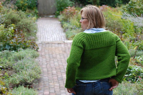 Ravelry: Acer pattern by Kirsten Kapur