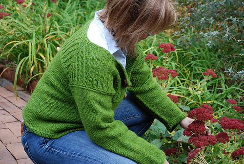 Ravelry: Acer pattern by Kirsten Kapur