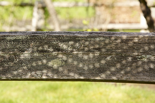 Ravelry: Redcedar pattern by tincanknits