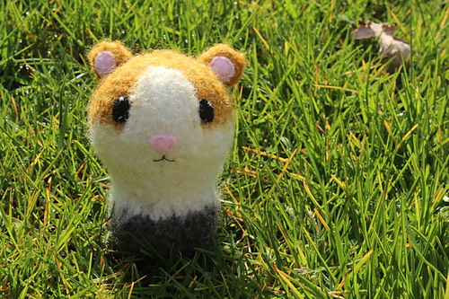 Ravelry: Guinea Pig pattern by Lisa Eberhart
