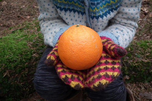 Ravelry: Skogens kongle (The pinecone) pattern by Judith Seland Nilsen