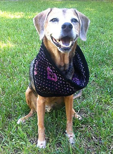 Ravelry: Saundra's Sweet Heart Cowl, Paws on my Heart pattern by Tracey ...
