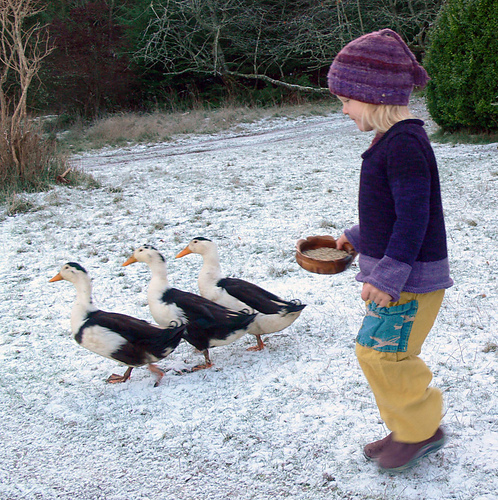 Ravelry: Child Ziggurat pattern by Åsa Tricosa