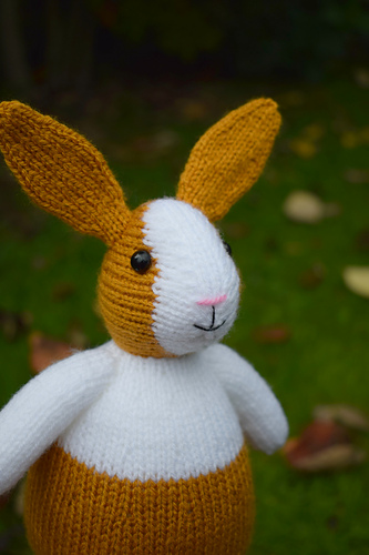 Ravelry: Cheryl the Dutch Rabbit pattern by Trish Roberts | trishlemoose