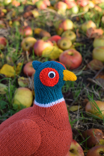 Ravelry: Philip the Pheasant pattern by Trish Roberts | trishlemoose