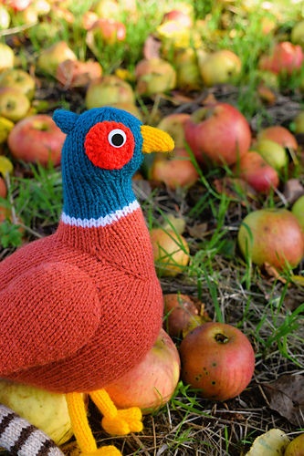 Ravelry: Philip the Pheasant pattern by Trish Roberts | trishlemoose