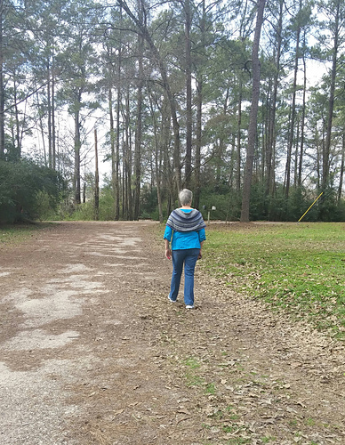 Ravelry: TGV (High Speed Knitting) pattern by Susan Ashcroft