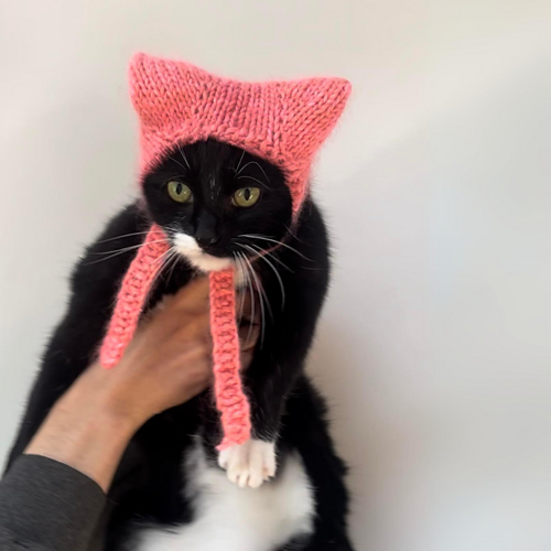 Ravelry: Cat hat for cat with kitty ears pattern by Bronia Kidd