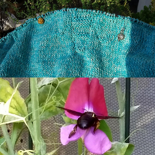 Ravelry: uschi1071's Summer Bee Tank