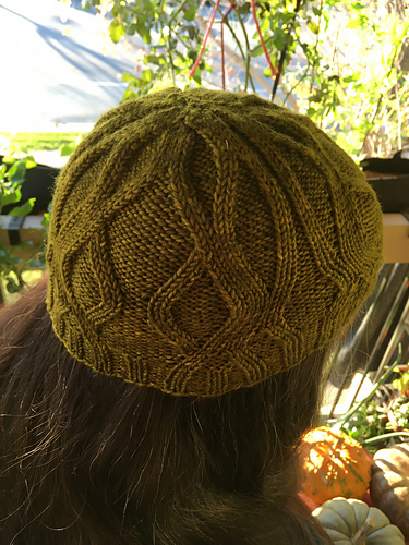 Ravelry: Rooted Hat pattern by verybusymonkey