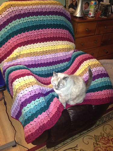 Ravelry: Starlight Throw pattern by Herrschners