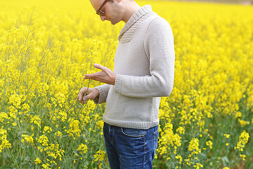 Ravelry: Pull Manu pattern by Aléfil