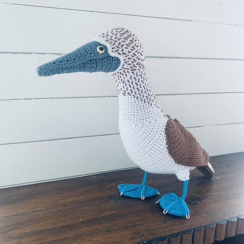 Ravelry: Blue-Footed Booby pattern by Vanessa Mooncie