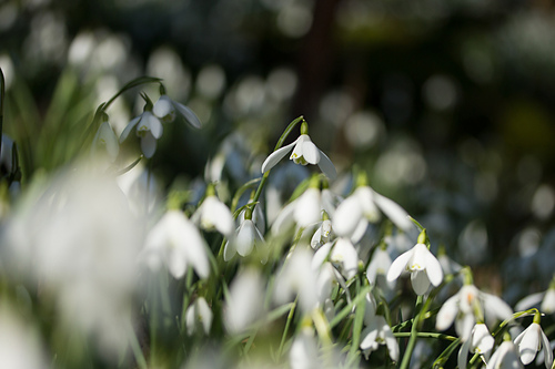 Ravelry: Funyin pattern by Kate Davies Designs