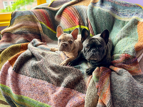 Ravelry: Marled Magic Blanket pattern by Stephen West