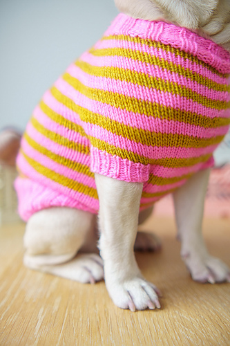 Ravelry: Striped Pup Sweater pattern by Stephen West