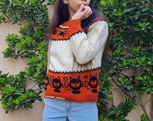 Ravelry: Spooky Buddies Halloween Sweater pattern by Wiam's Crafts