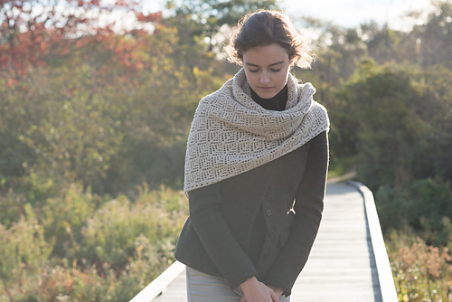 Ravelry: Tree Shawl pattern by Leila Raven