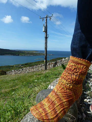 Ravelry: Fields of Gold socks pattern by Anna Richardson