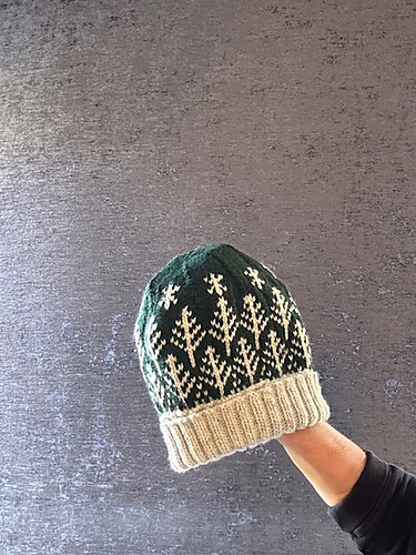 Ravelry: Magic Forest Beanie pattern by wool decanted designs