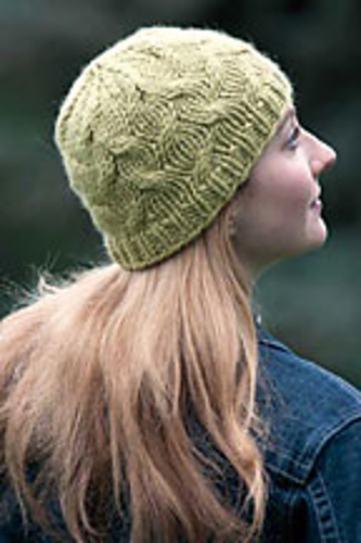 Ravelry: Shadow Tuque pattern by Lee Juvan