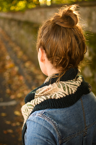 Ravelry: Creel cowl pattern by Ysolda Teague