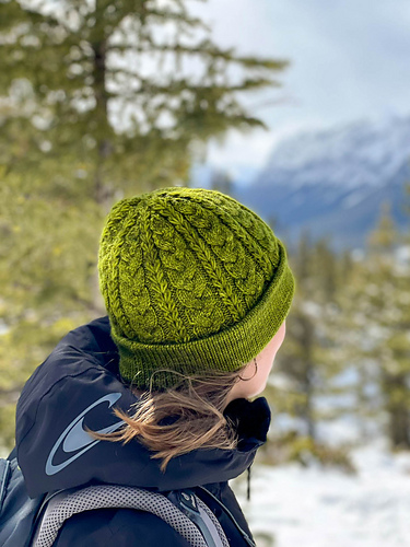Ravelry: Crown-shy pattern by Ysolda Teague